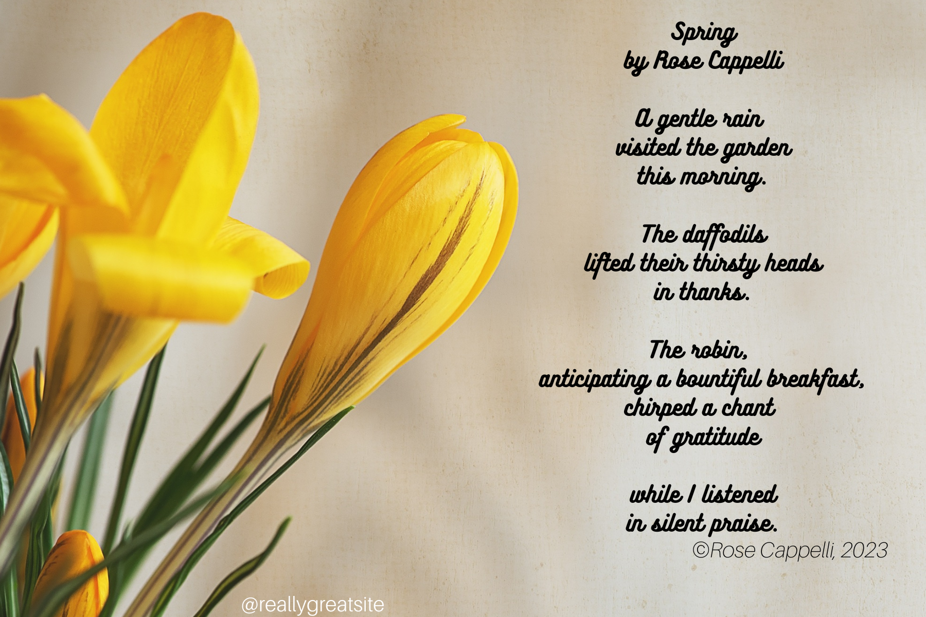 Poetry Friday: It’s Spring! | Imagine the Possibilities