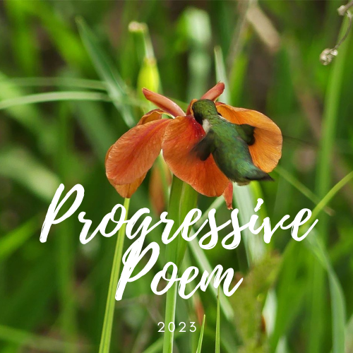 Progressive Poem 2023 | Imagine the Possibilities