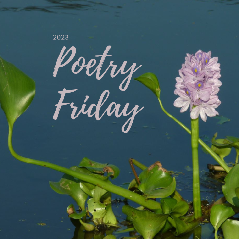 Poetry Friday: Winter Gardening | Imagine the Possibilities