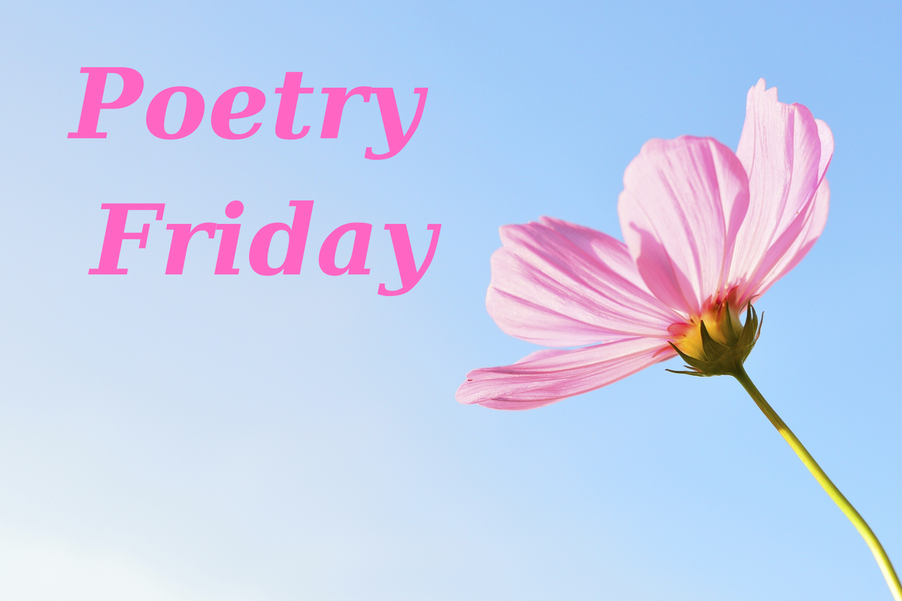 Poetry Friday: Word + Cherita = A Poem a Day | Imagine the Possibilities